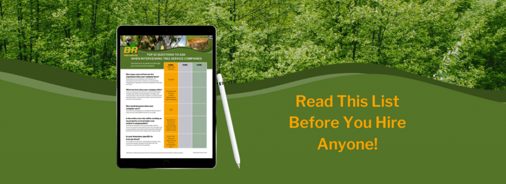 Top 10 Questions To Ask Tree Service Companies B R Tree Service B R Tree Service top-10-questions-to-ask-tree-service-companies-b-r-tree-service-b-r-tree-service