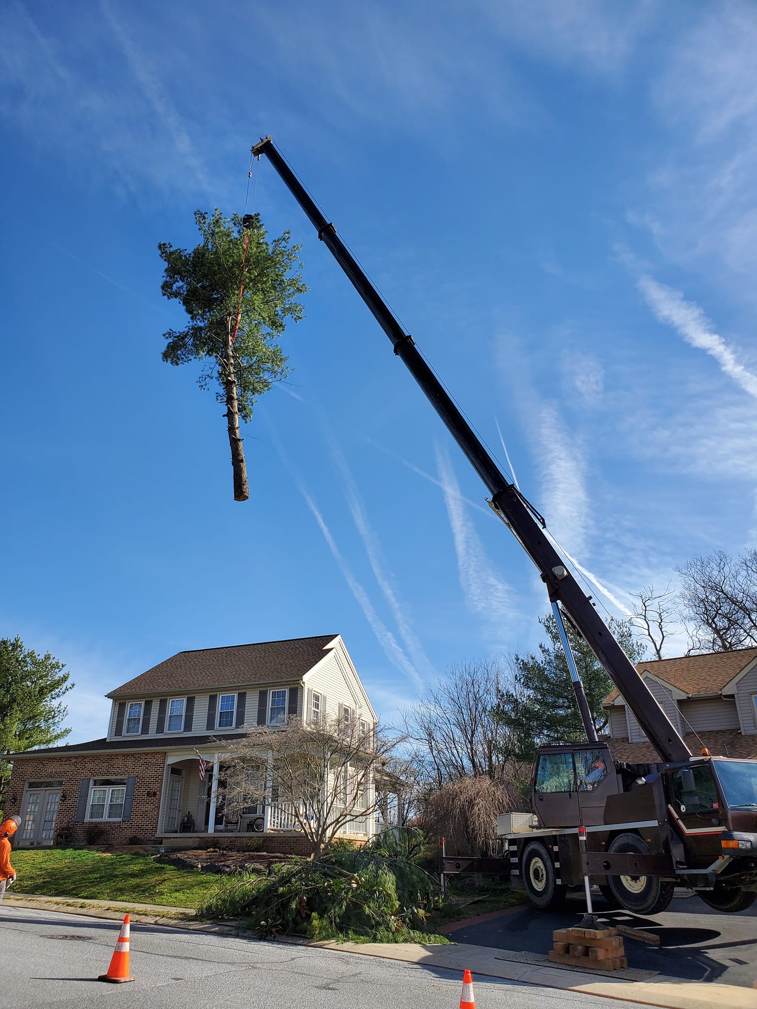 Crane Tree Removal - B&R Tree Service